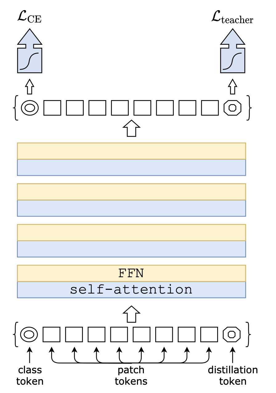 视觉Transformer经典论文——ViT、DeiT的与原理解读与实现_deit网络_L的知识库的博客-CSDN博客