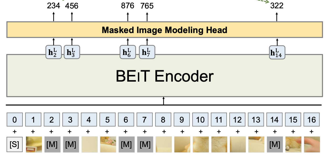 BeiT：当BERT用于图像任务——超越ViT新范式_beit3-CSDN博客