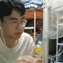 动物分类识别_新版 - 飞桨AI Studio星河社区