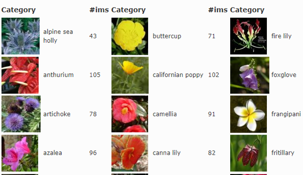 实践项目7：花卉识别--VGG19 - 飞桨AI Studio星河社区